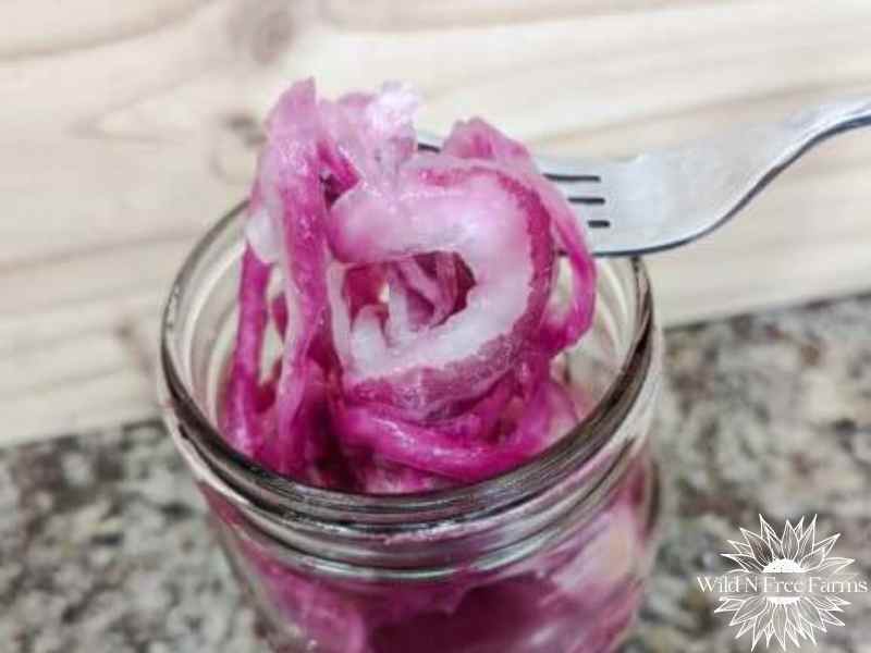 Gut-Healing Lacto-Fermented Onions