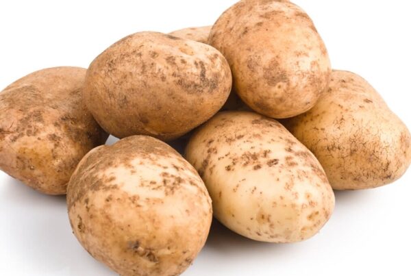 The Best Potato Varieties For Your Homestead Garden