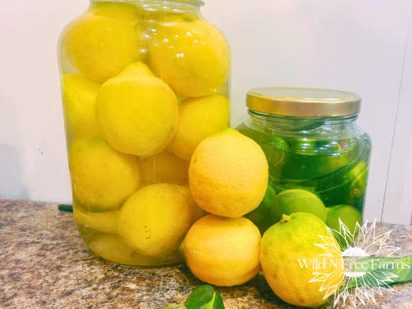 The Best Way To Preserve Lemons with Fermentation
