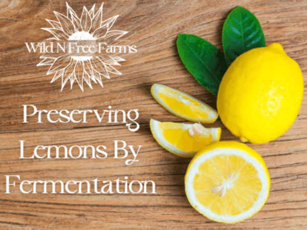 The Best Way To Preserve Lemons with Fermentation