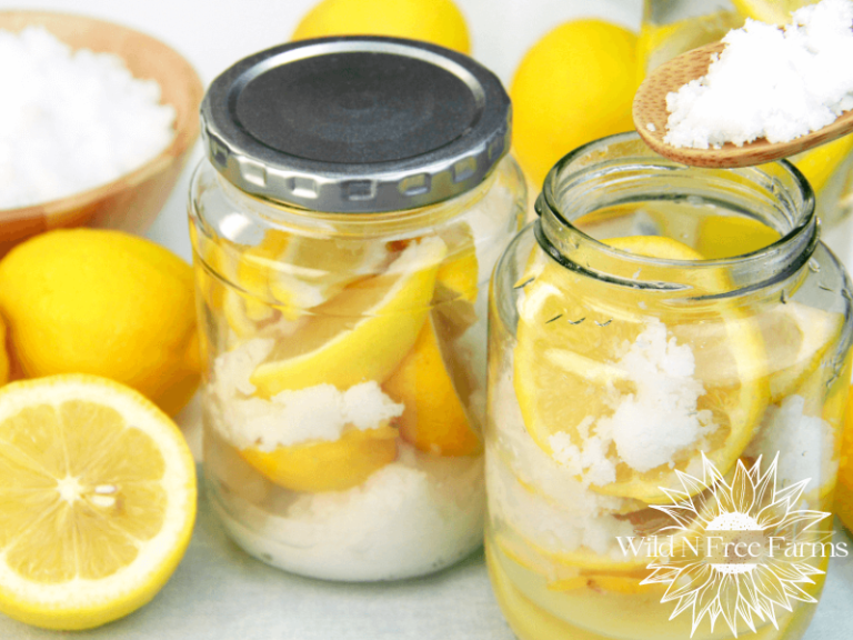 The Best Way To Preserve Lemons with Fermentation