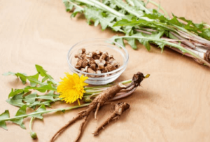 Amazing Medicinal Benefits Of Dandelion