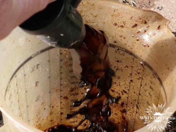 Introducing Vermicompost Tea: The Secret Nutrient Booster That Will ...