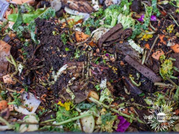 Worm Farming Made Easy: Vermiculture For Beginners