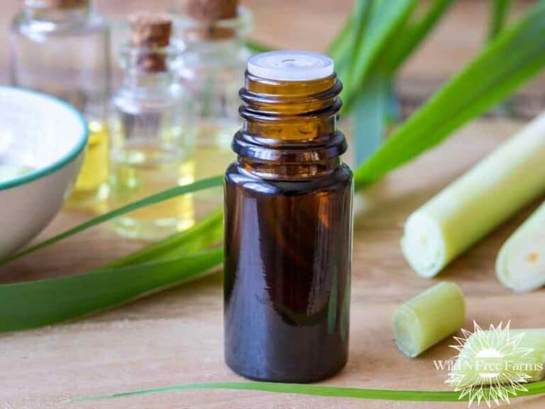 Homemade Sun Burn Relief Lotion: Nourishing Your Skin Safely