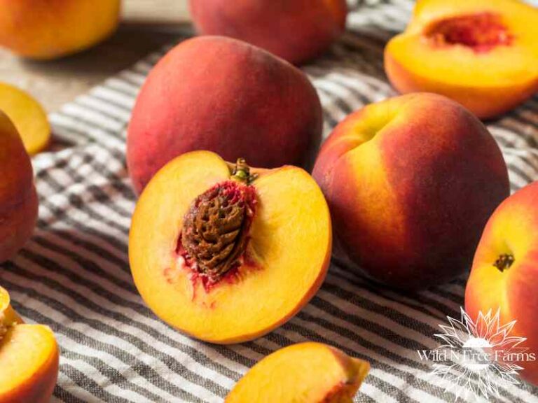 From Trash to Treasure: The Art of Making Peach Pit Jelly