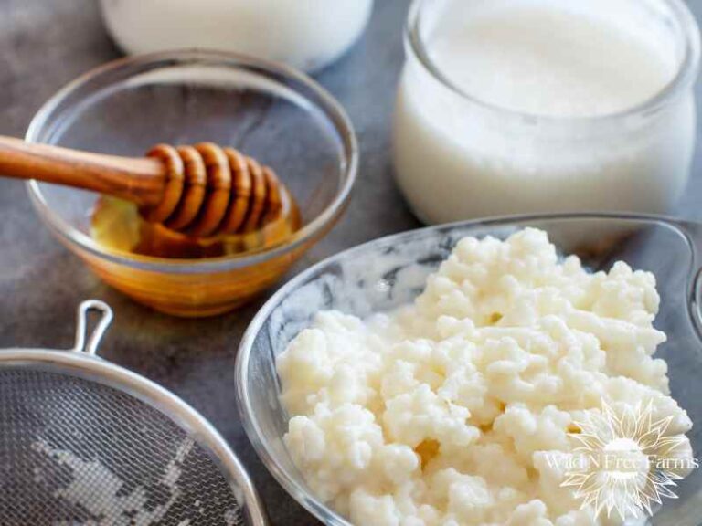 Discover An Amazing Way To Preserve Foods with Honey Fermenting
