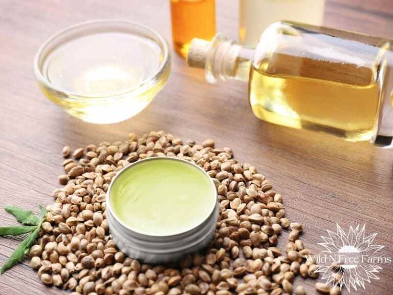 What Are Salves and How Can They Be Used? | Salves for Beginners