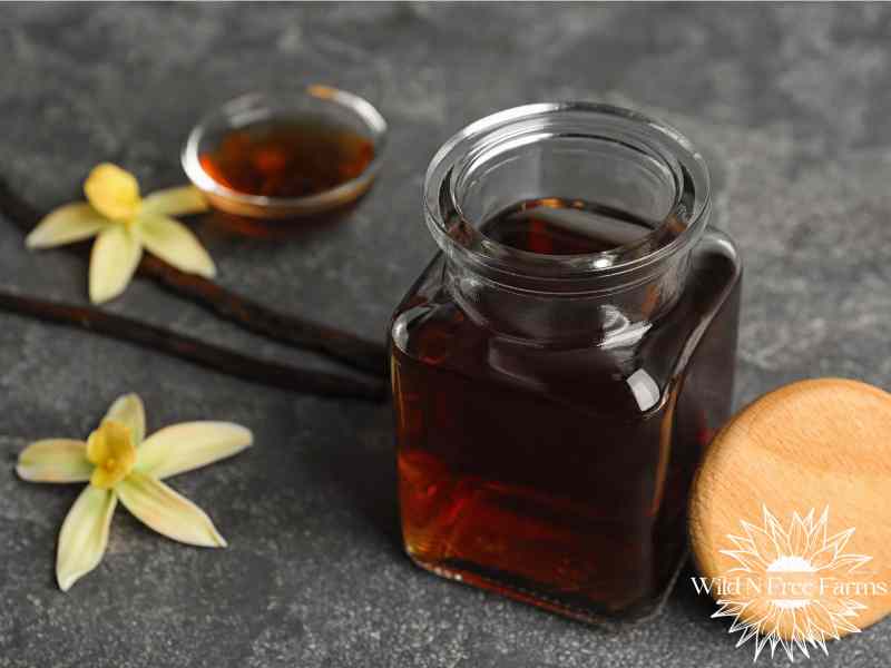 A Homesteader’s Journey to Crafting Homemade Vanilla Extract
