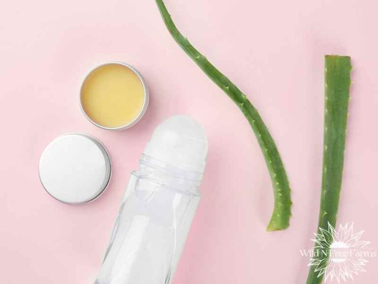 How To Use Aloe Vera Gel In Salves