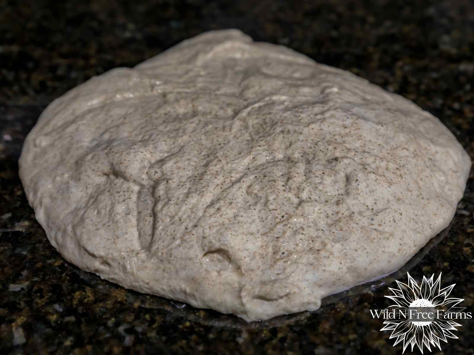 The Crucial Role Of Sourdough Hydration: A Beginner’s Guide