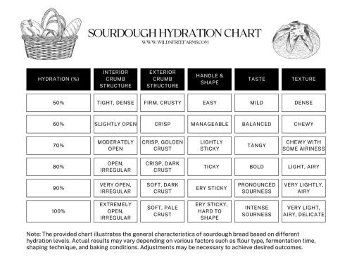 The Crucial Role Of Sourdough Hydration: A Beginner’s Guide