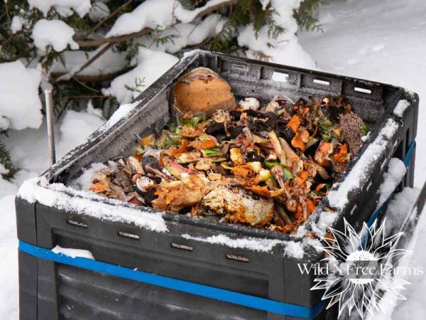 The Ultimate Guide to Winter Composting: Tips, Tricks, and ...