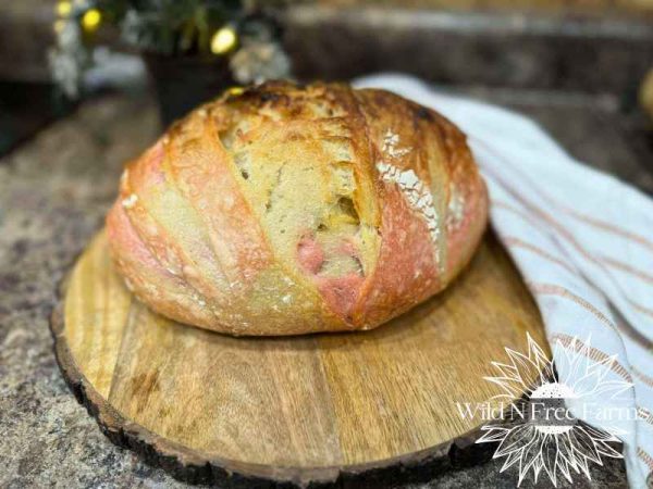 Candy Cane Sourdough Bread