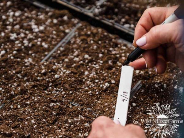Homemade Seed Starting Mix: A Simple Recipe for Healthy Seedlings