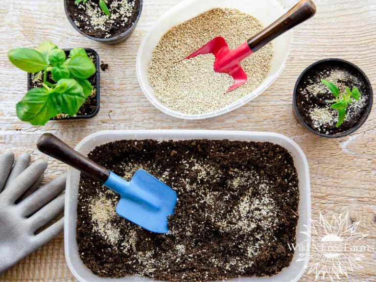 Homemade Seed Starting Mix: A Simple Recipe for Healthy Seedlings