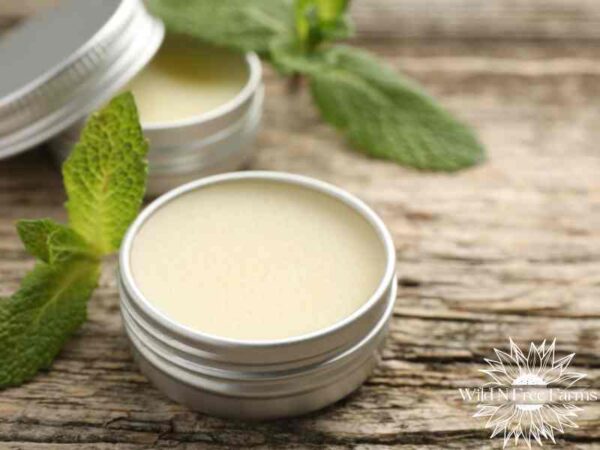 How to Make Lemon Balm Lip Balm: A Natural Remedy for Cold Sores
