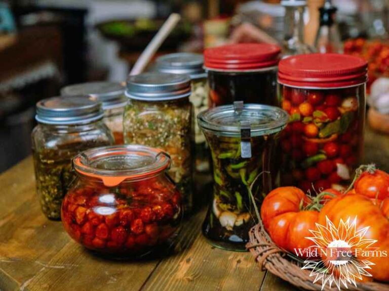 Designing a Productive Micro-Homestead on 1/4 Acre