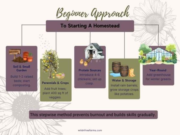 Designing a Productive Micro-Homestead on 1/4 Acre
